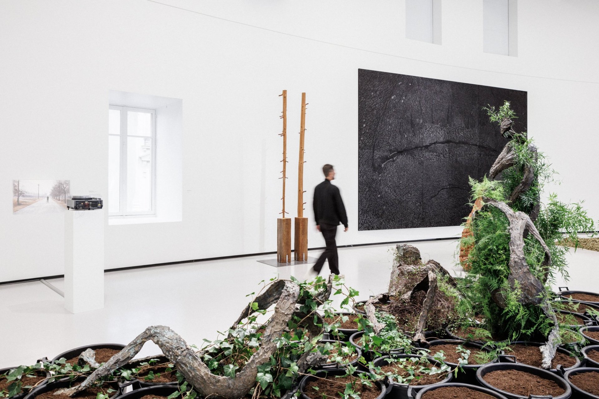 « L'arbre est l'exemple même d'une sculpture parfaite. » — Giuseppe ...